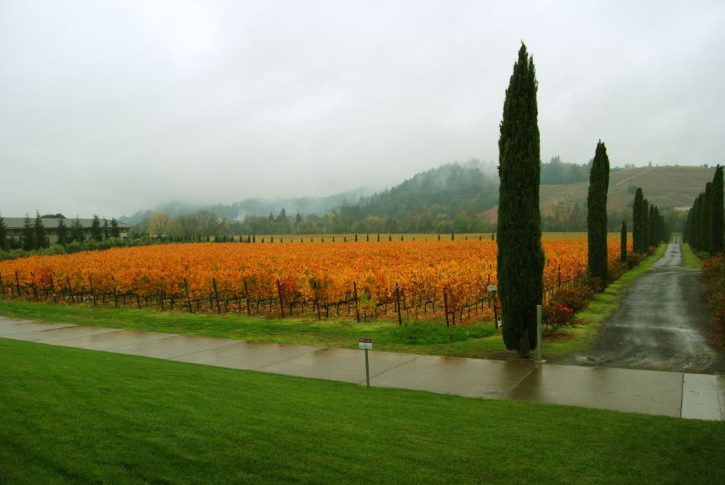 Courses – Rande Howell Learning Systems