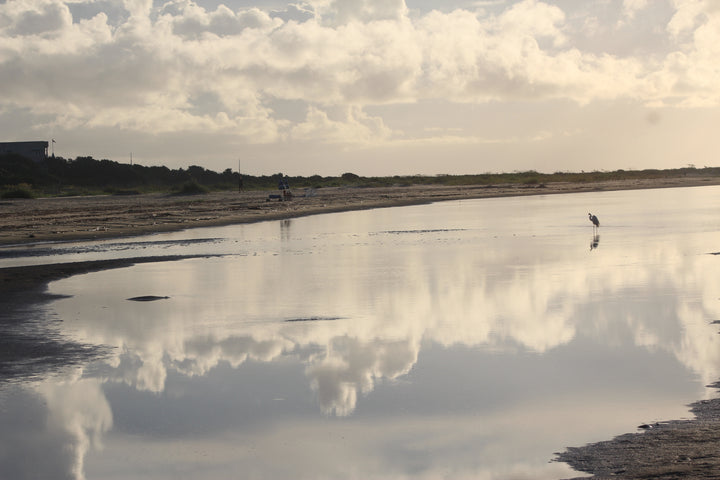 About - Rande Howell Learning Systems