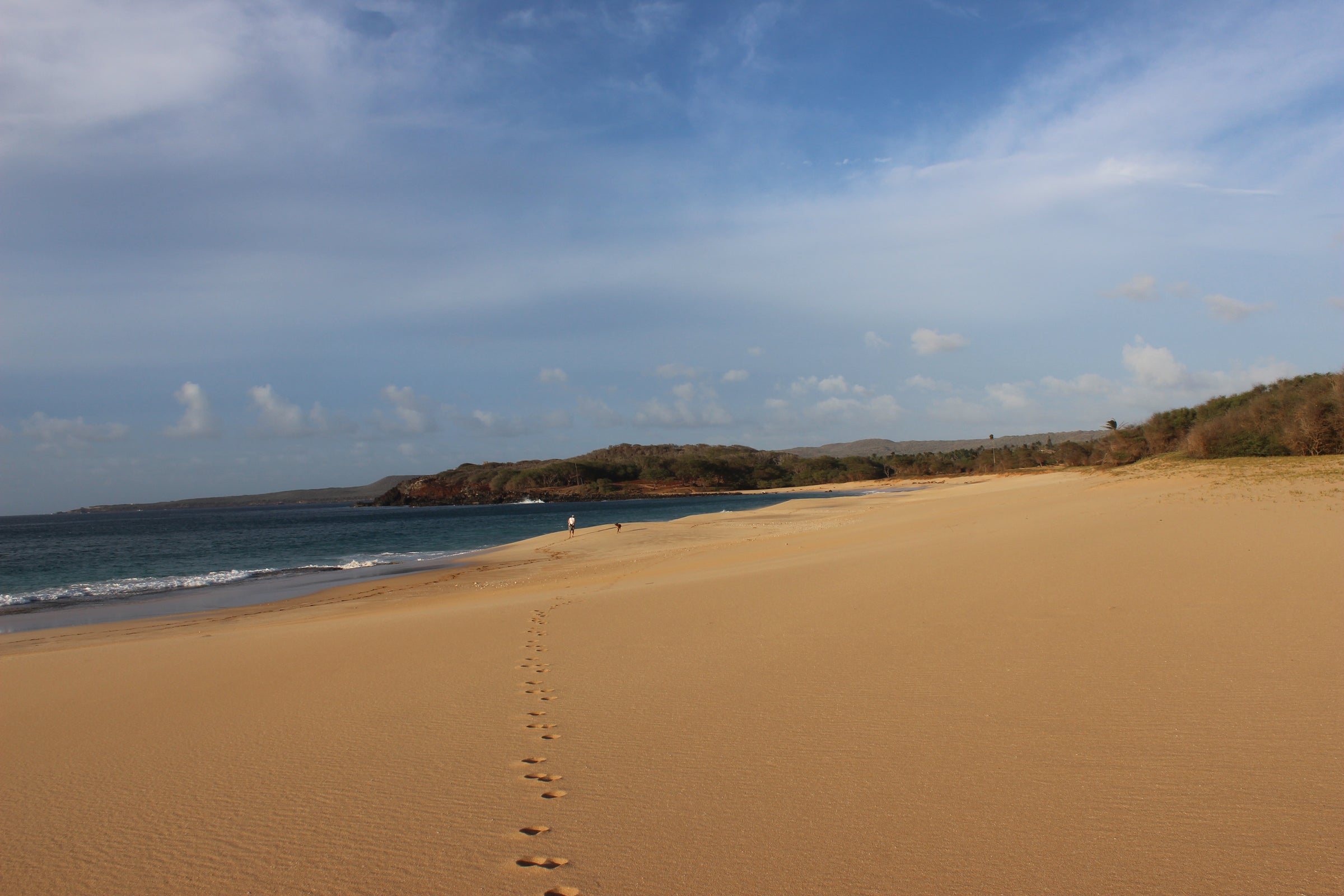 Rande Howell Learning Systems to master emotional intelligence