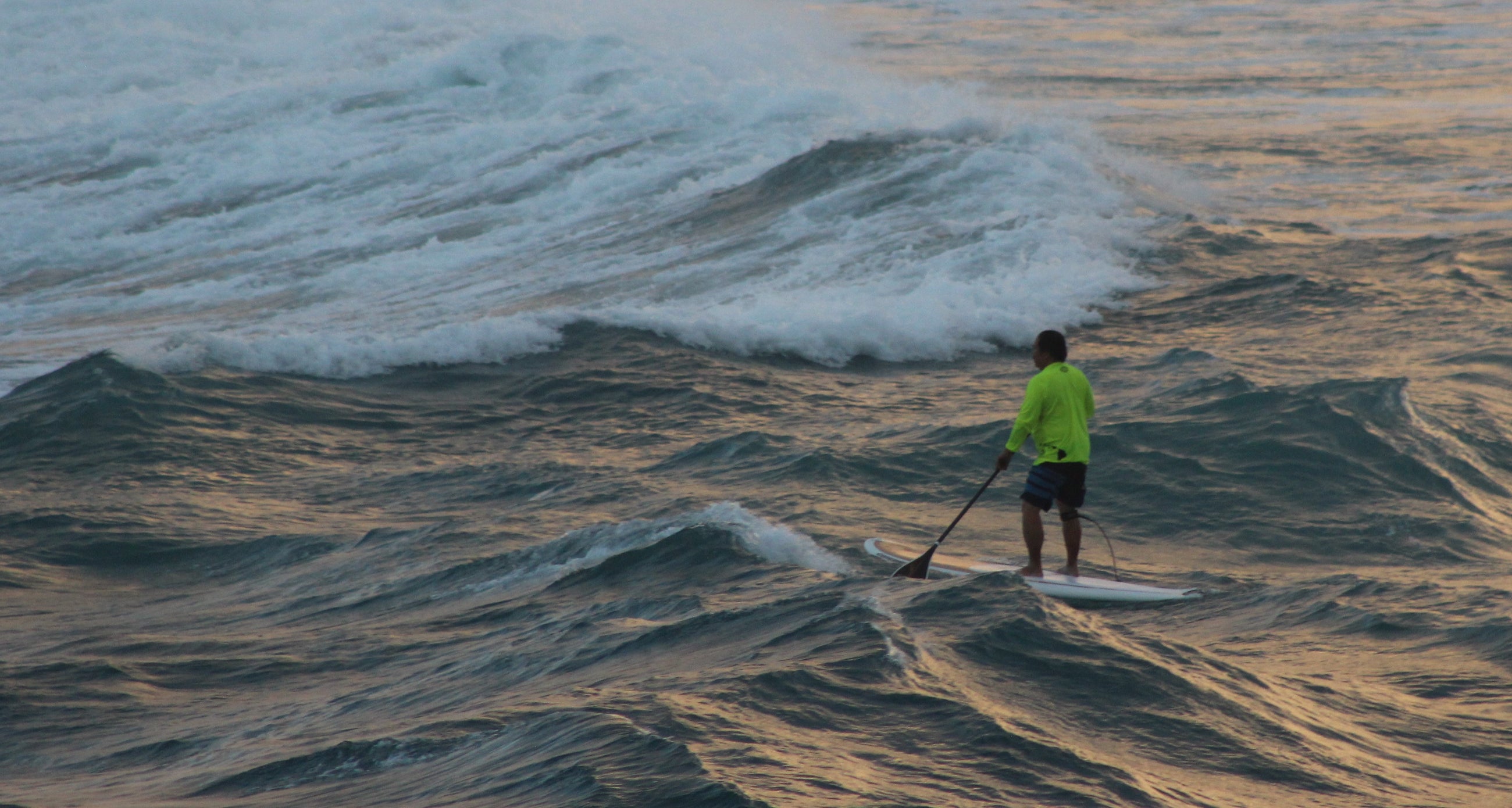 Rande Howell Learning Systems to master emotional intelligence