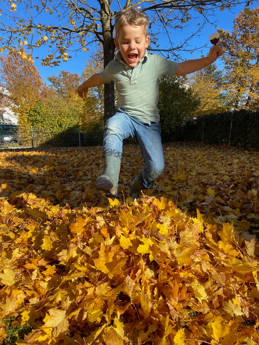 Choosing Renewal – Rande Howell Learning Systems